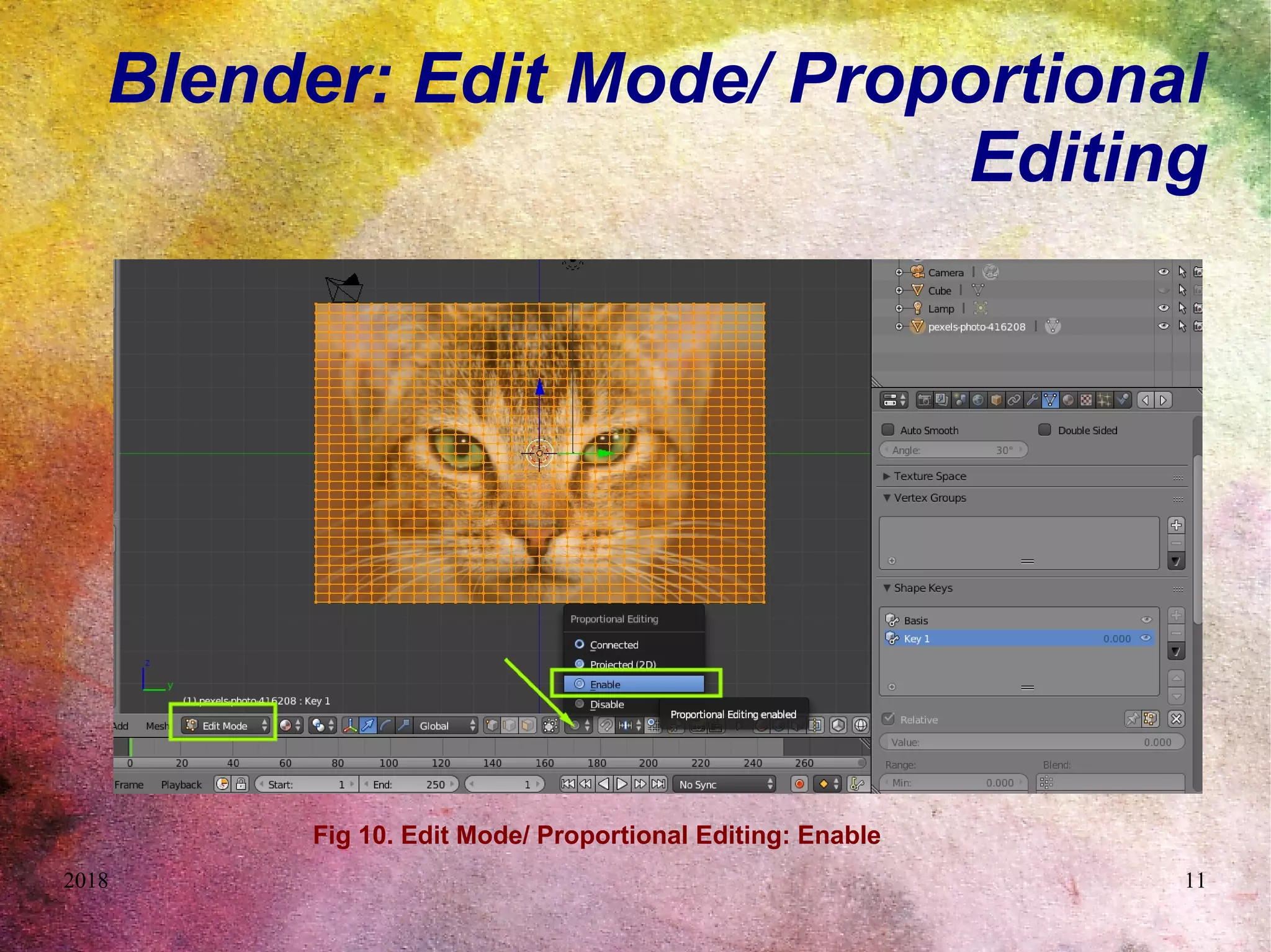 Drtad Blender Tutorial Image Processing Morphing Ppt