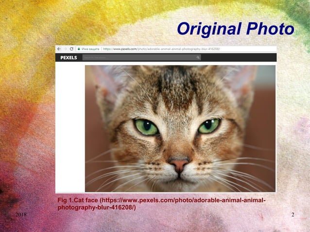 Drtad Blender Tutorial Image Processing Morphing Ppt