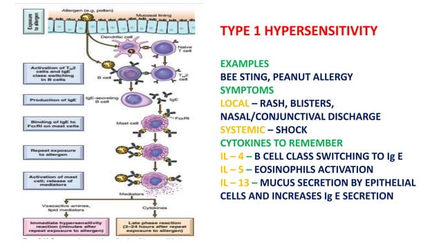 HYPERSENSITIVITY.pptx | Allergies | Diseases and Conditions