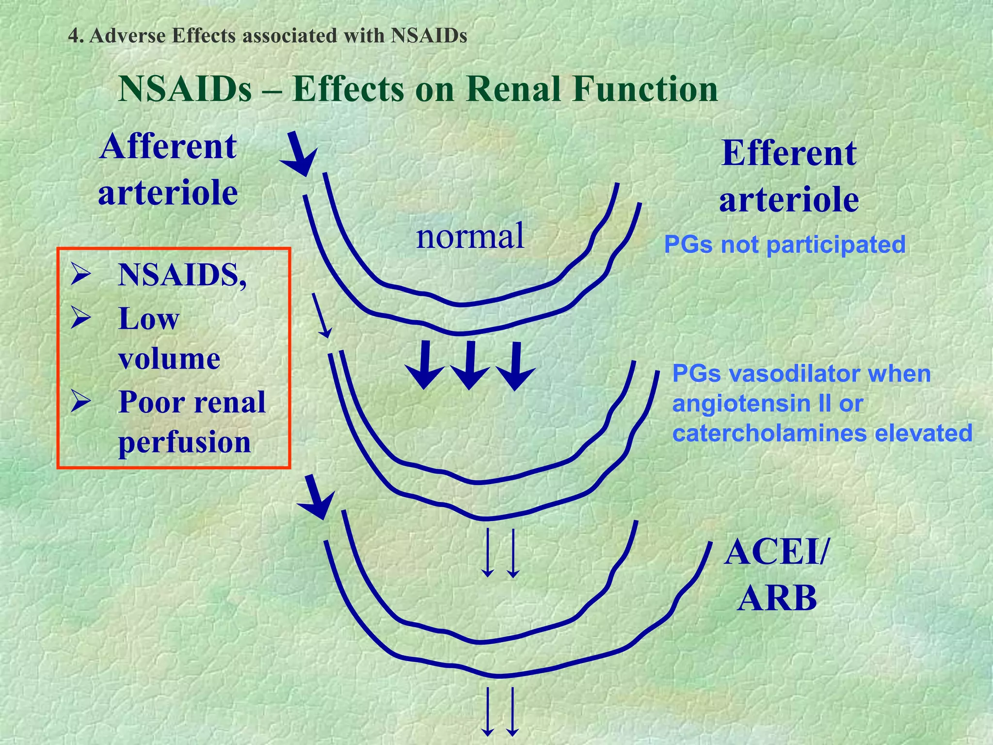Dr tarek NSAIDs | PPTX