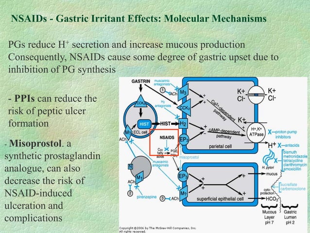 Dr tarek NSAIDs | PPT