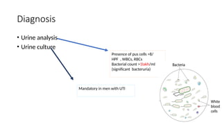 urinary tract infection ...