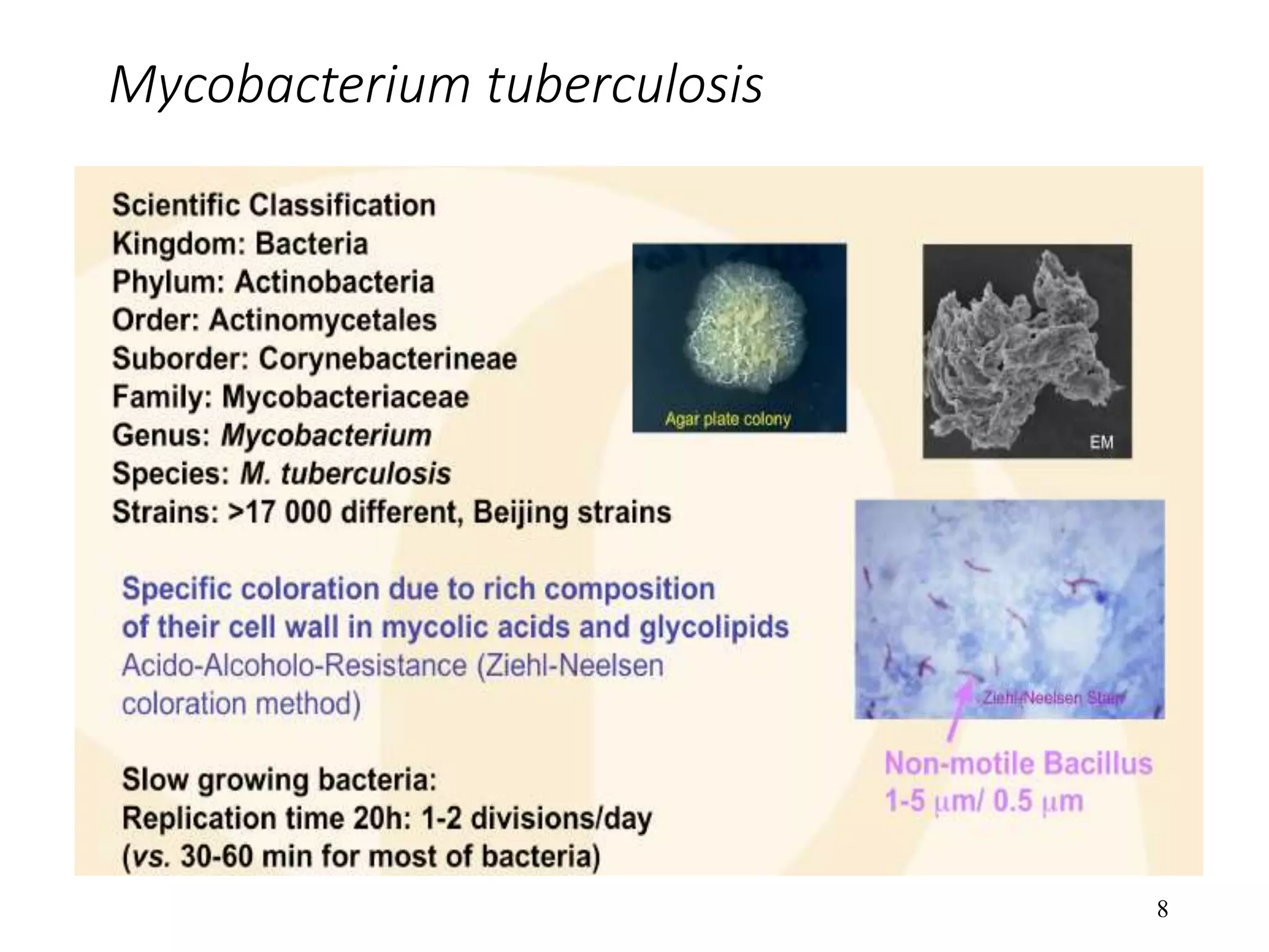 dr Theo- TB Paru FK Uncen.pptx