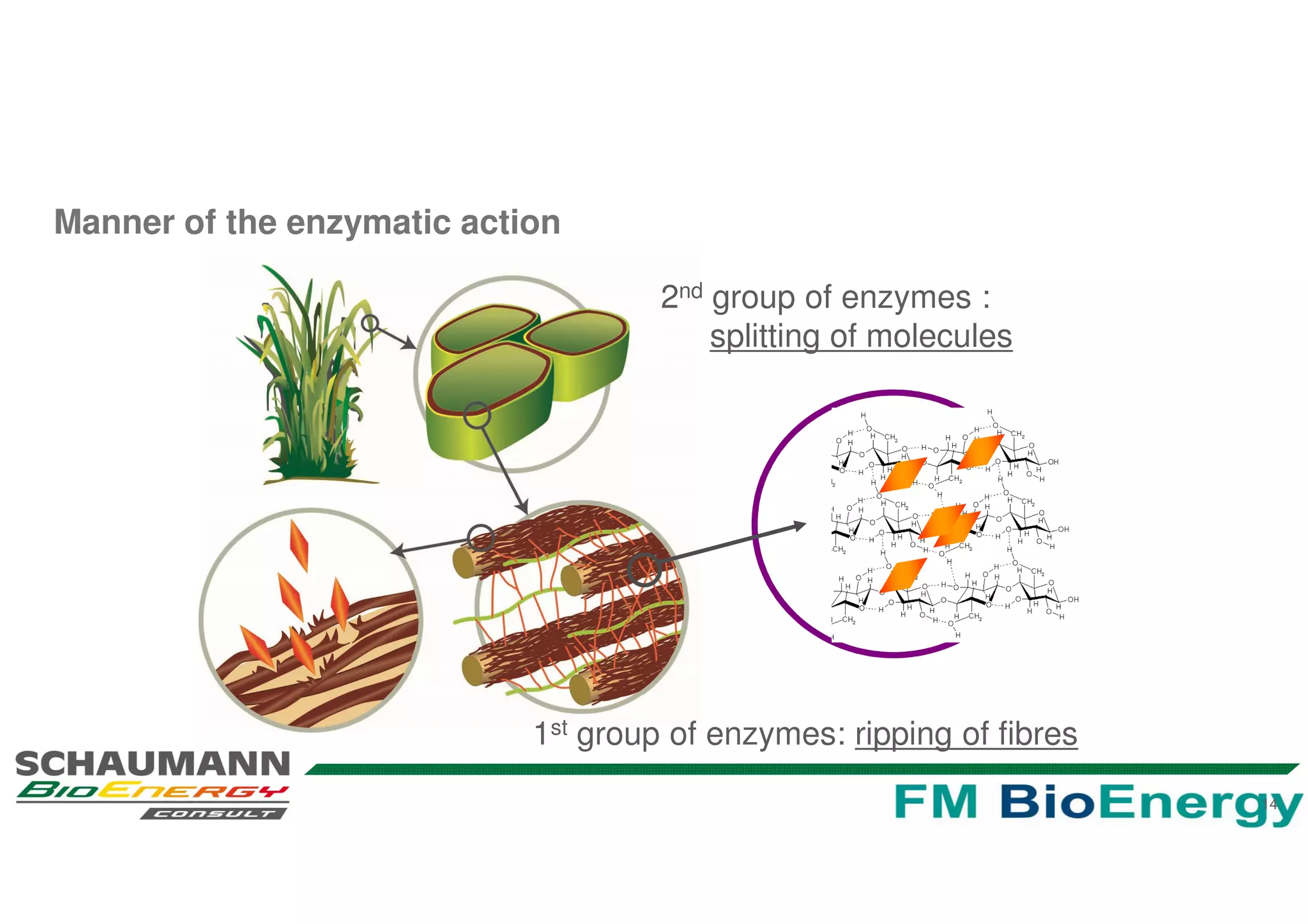 Dr Thomas Fritz, Schaumann Bioenergy | PDF