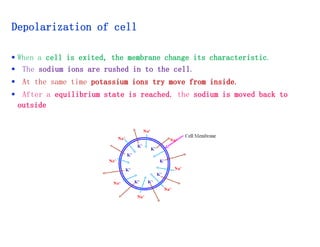 Biopotential | PDF
