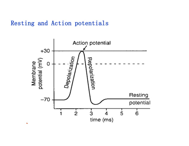 Biopotential | PDF | Biological Sciences | Science