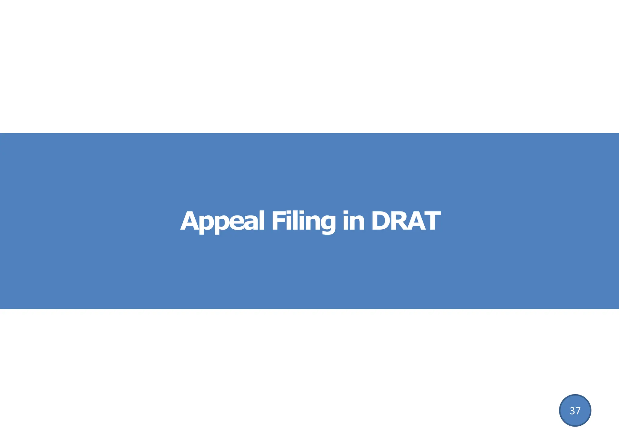 DRT User Manual Online Filing 23.2.2024