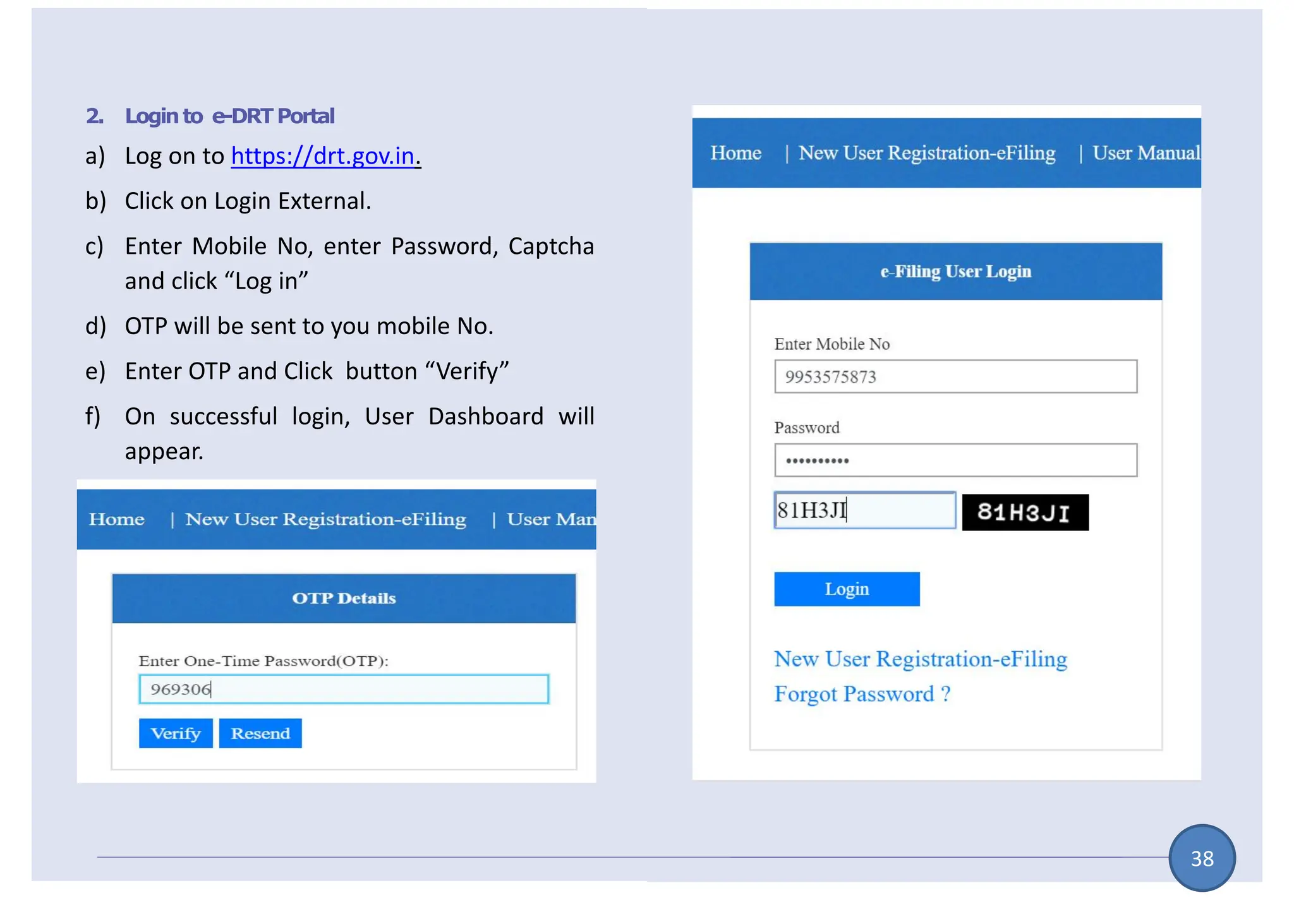 DRT User Manual Online Filing 23.2.2024