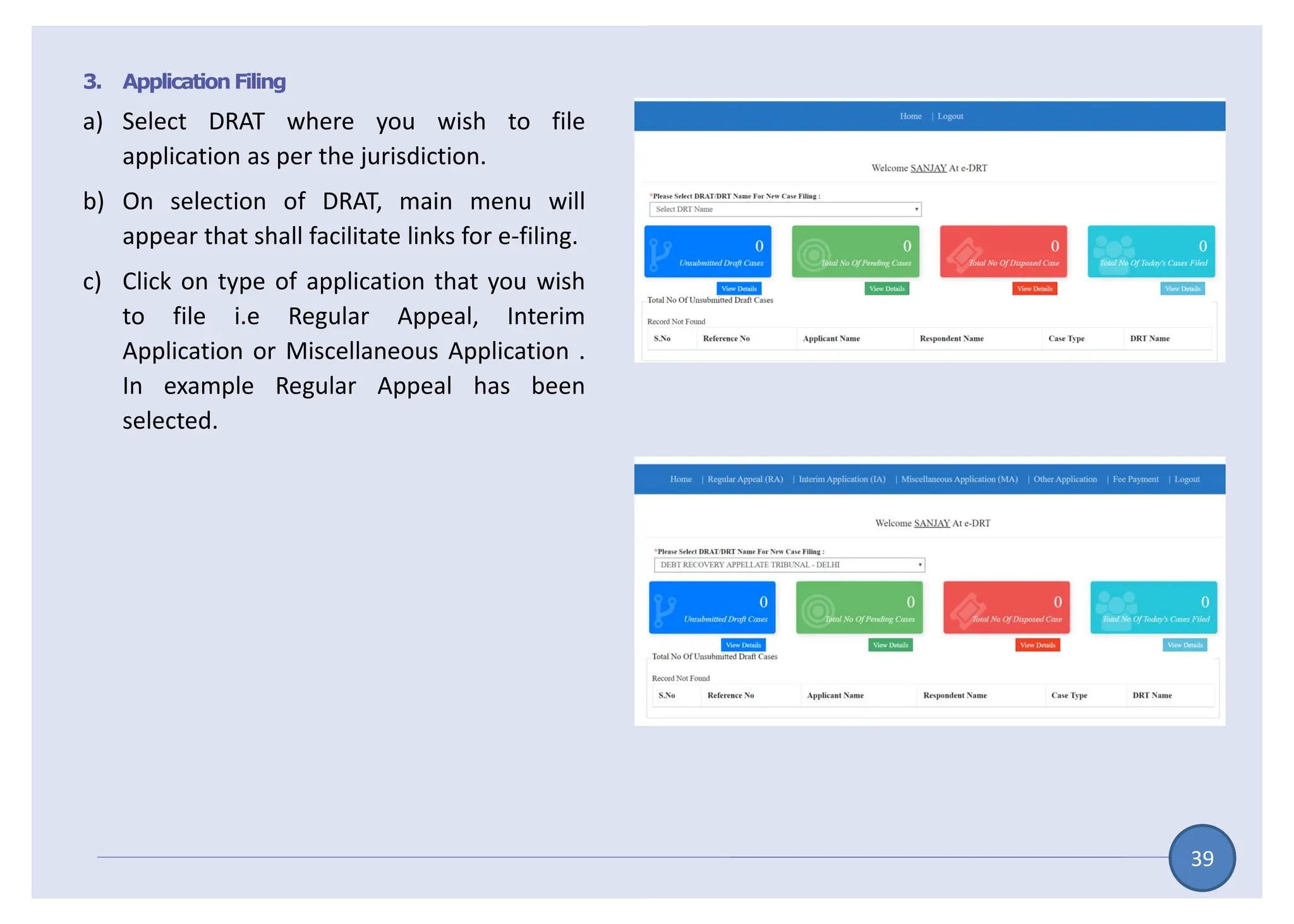 DRT User Manual Online Filing 23.2.2024