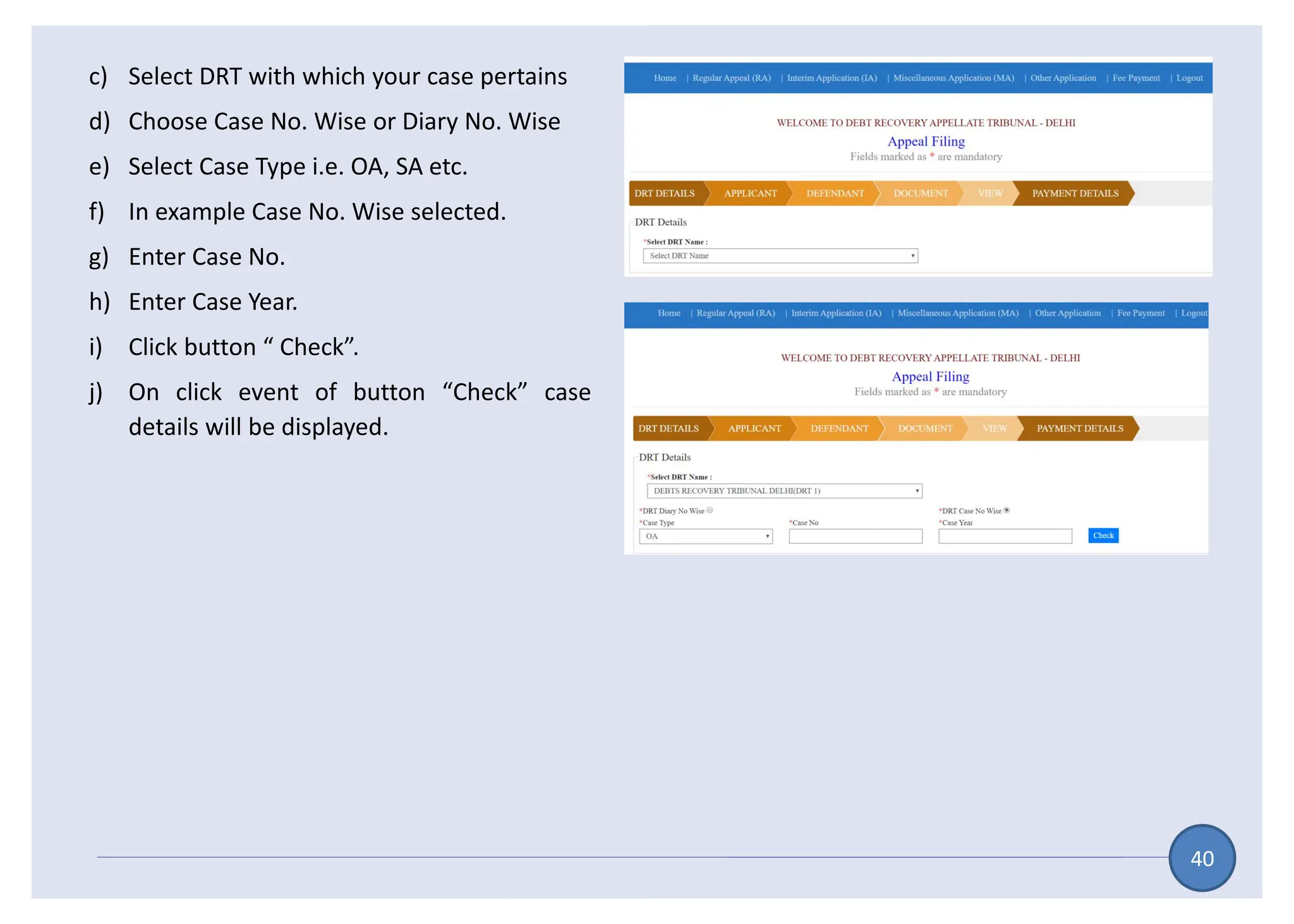 DRT User Manual Online Filing 23.2.2024