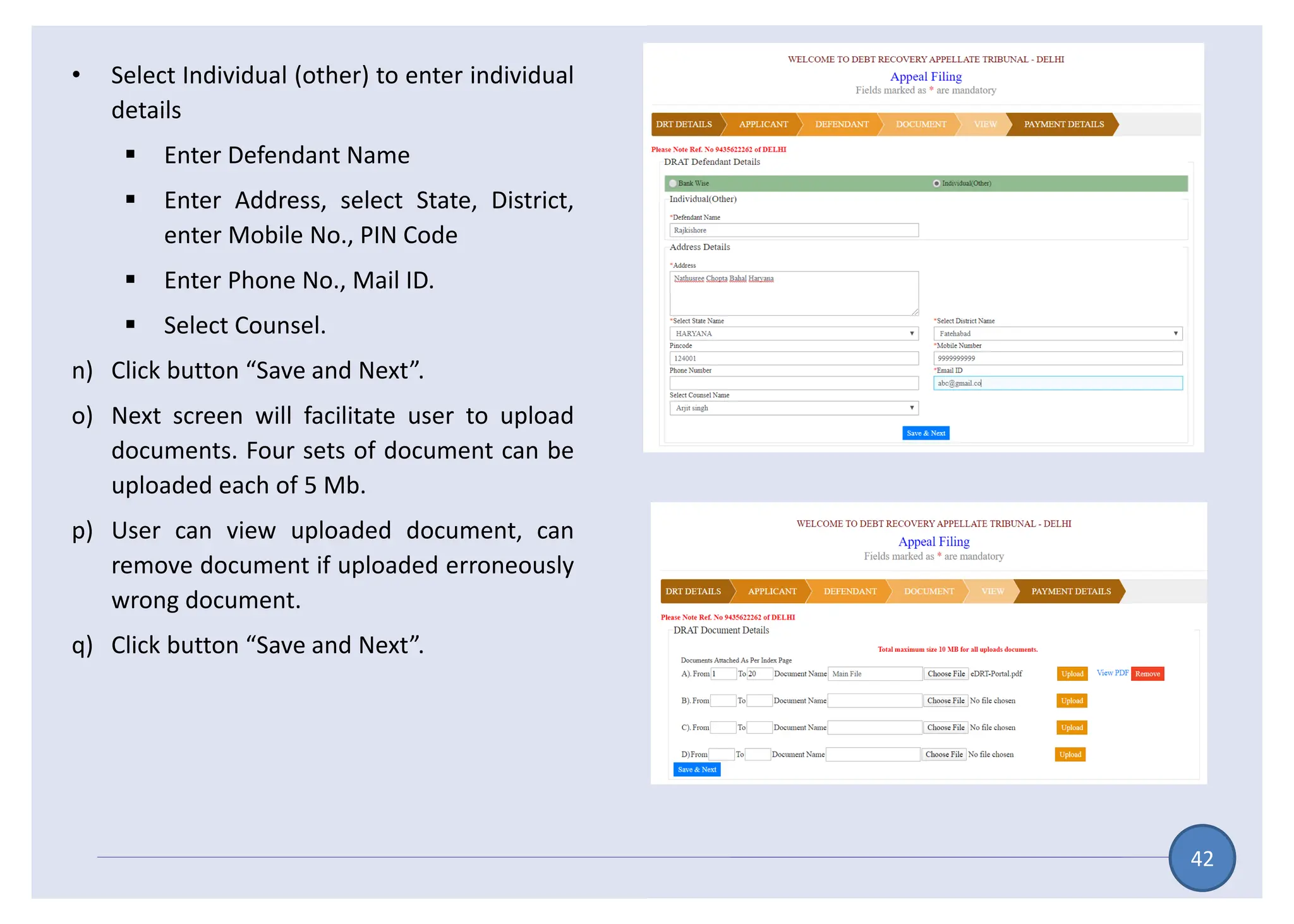 DRT User Manual Online Filing 23.2.2024