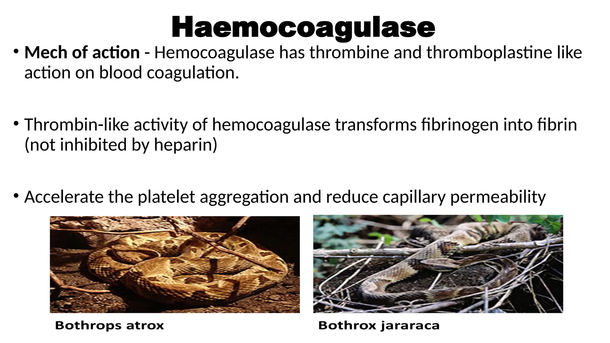 Drugs used as styptics, detail pharmacology of the drugs used as ...