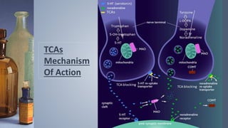 Tricyclic Antidepressants | PPT