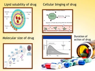 Drug distribution | PPTX | Chemistry | Science