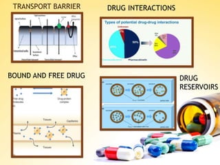 Drug distribution | PPTX