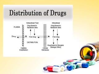 Drug distribution | PPTX