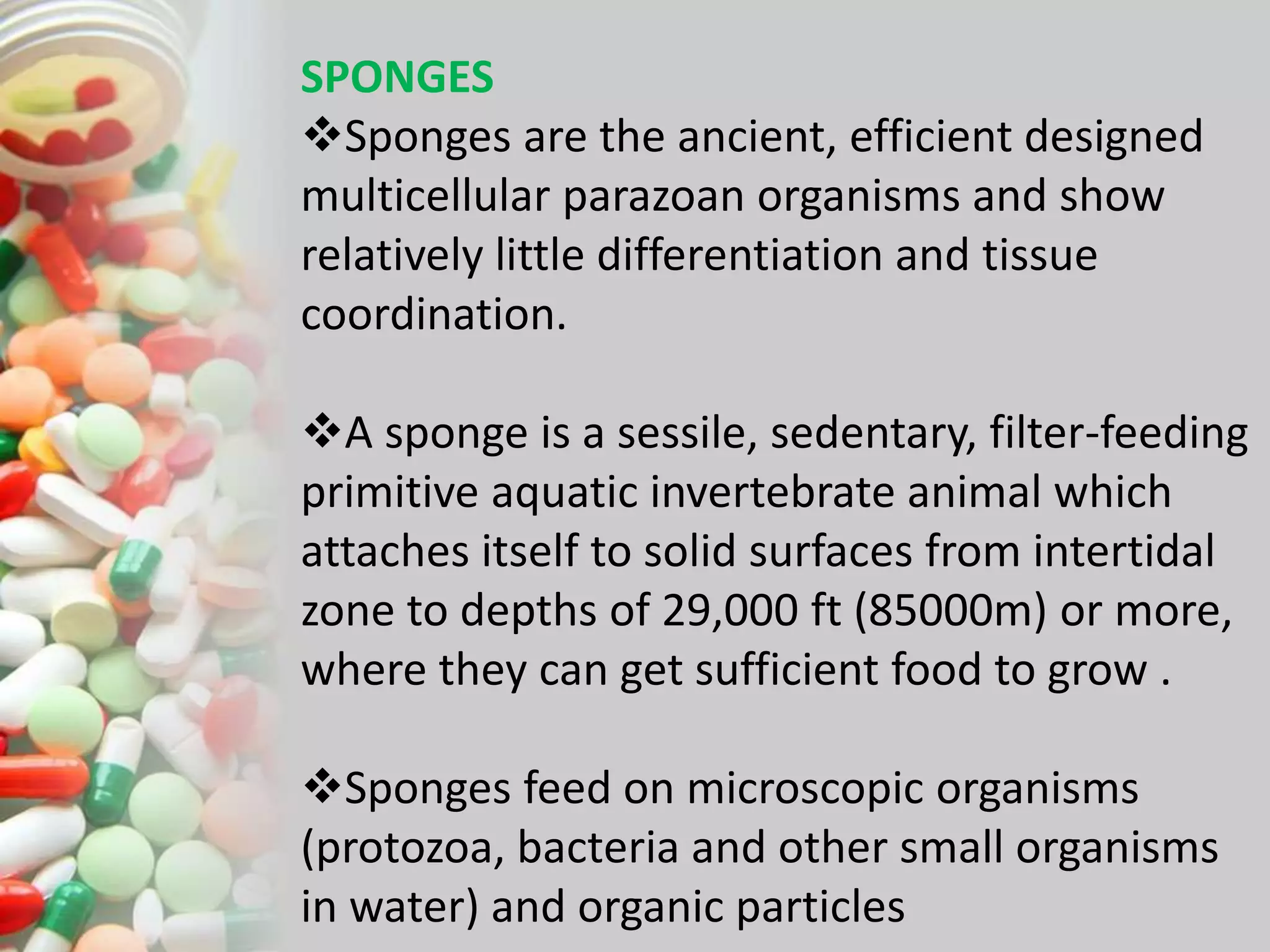 Drug from Marine Sponges/ Sponges as Pharmacy | PPTX