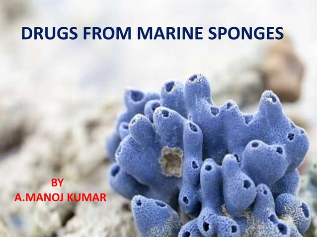 Drug from Marine Sponges/ Sponges as Pharmacy | PPTX | Chemistry | Science