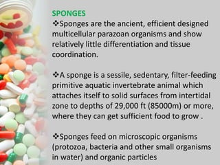 Drug from Marine Sponges/ Sponges as Pharmacy | PPTX