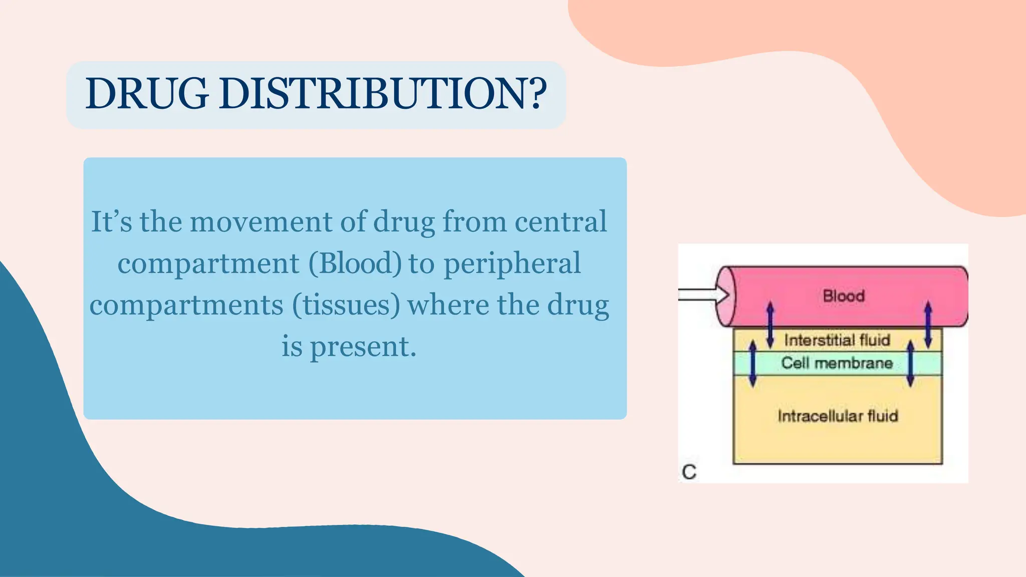Factors affecting Drug Distribution pharma | PPT