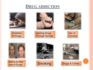 Drug a boon or a curse | PPT