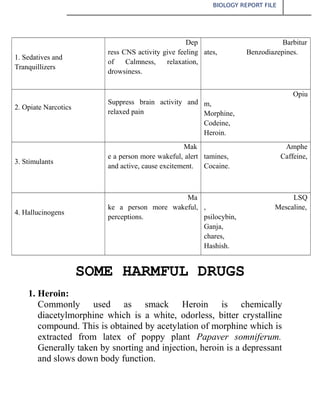 Drug addiction-biology | PDF