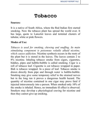 Drug addiction-biology | PDF