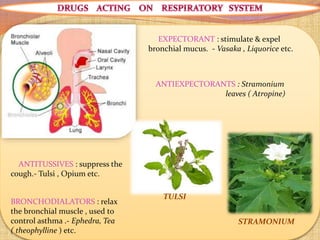 classification of drugs | PPTX | Pharmaceutical Drugs | Medical Health