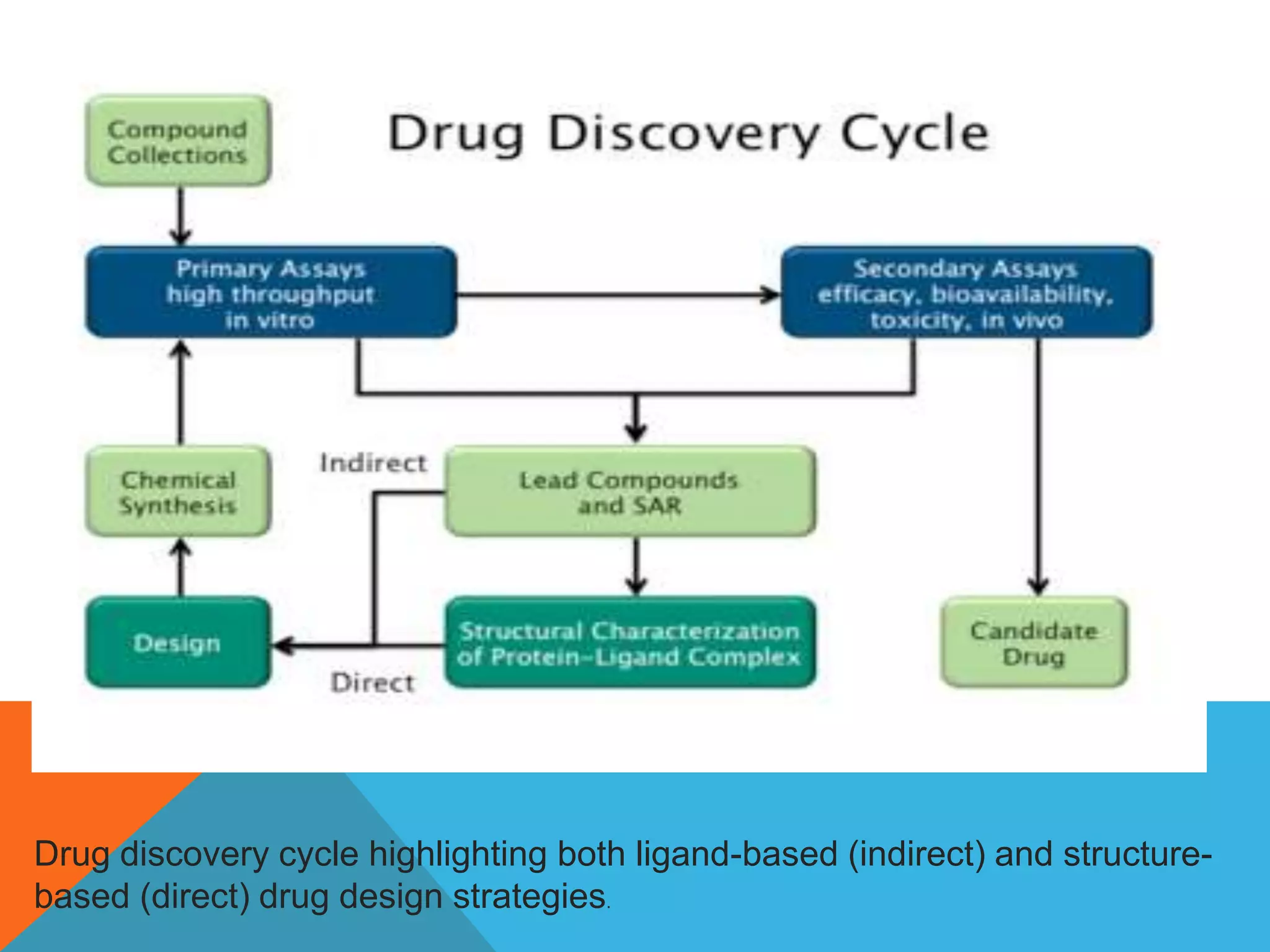 Drug discovery hit to lead | PPTX | Chemistry | Science