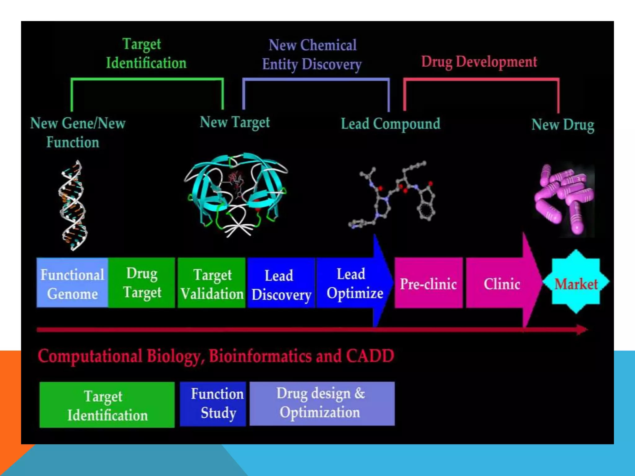 Drug discovery hit to lead | PPTX