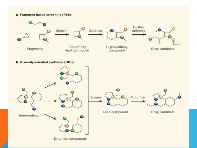 Drug discovery hit to lead | PPTX | Chemistry | Science