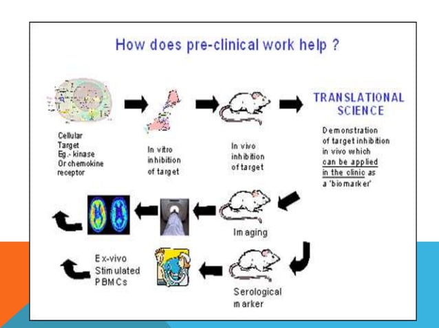 Drug discovery hit to lead | PPTX | Chemistry | Science