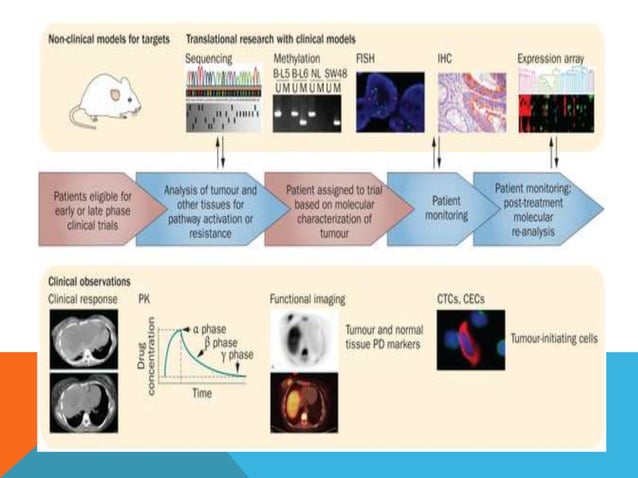 Drug discovery hit to lead | PPTX | Chemistry | Science