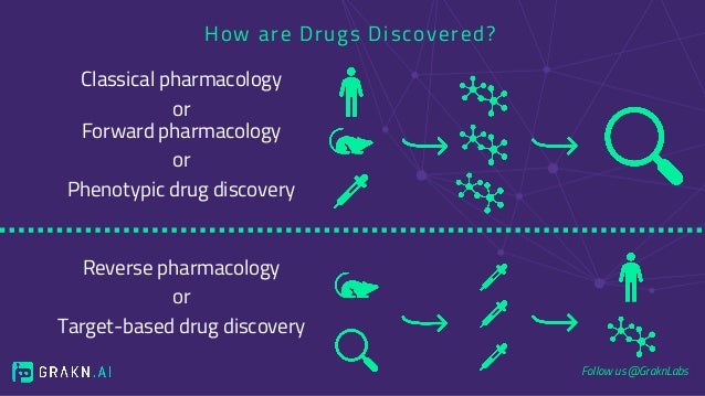 Drug Discovery Knowledge Graph