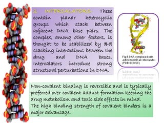 Drug dna interaction | PDF