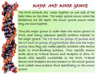 Drug dna interaction | PDF