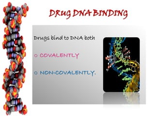 Drug dna interaction | PDF