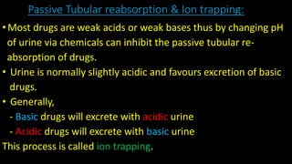 Drug-Elimination pharmacology .pptx