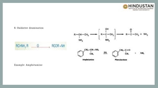 Drug-metabolism-Phase 1 pharmacognocy phytochemistry | PPT