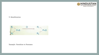Drug-metabolism-Phase 1 pharmacognocy phytochemistry | PPT