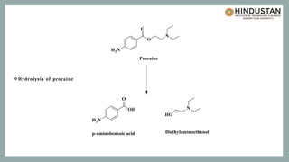 Drug-metabolism-Phase 1 pharmacognocy phytochemistry | PPTX