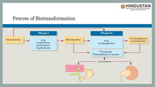 Drug-metabolism-Phase 1 pharmacognocy phytochemistry | PPT