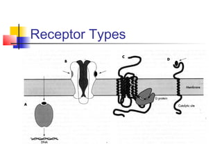 Drug receptor-interactions | PPT