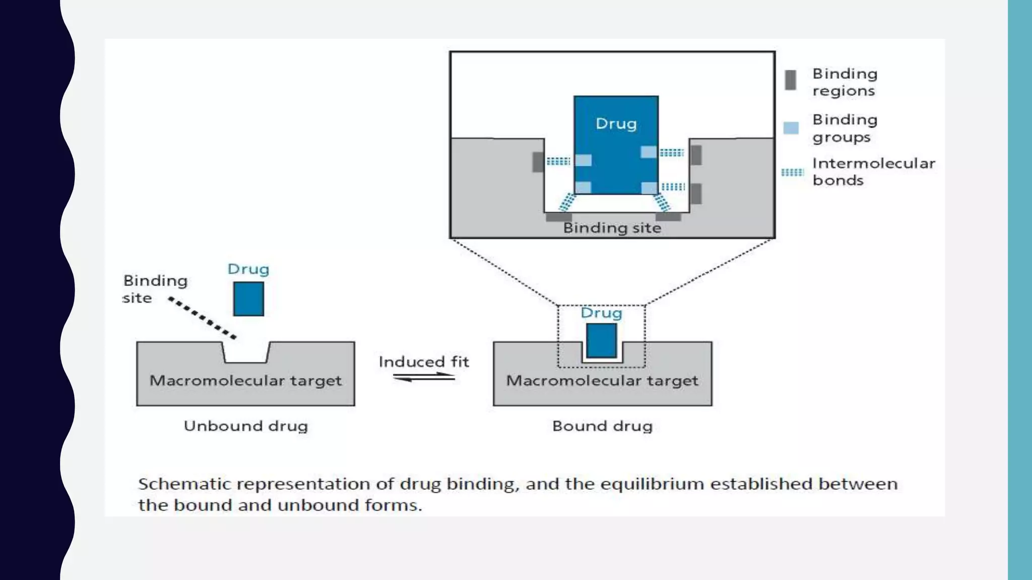 Drug receptor interactions | PPTX