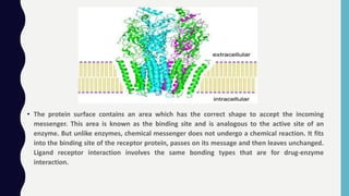 Drug receptor interactions | PPTX