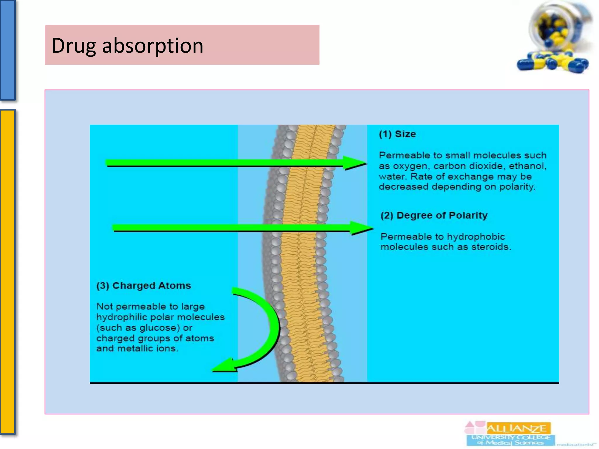 Drug absorption | PPTX