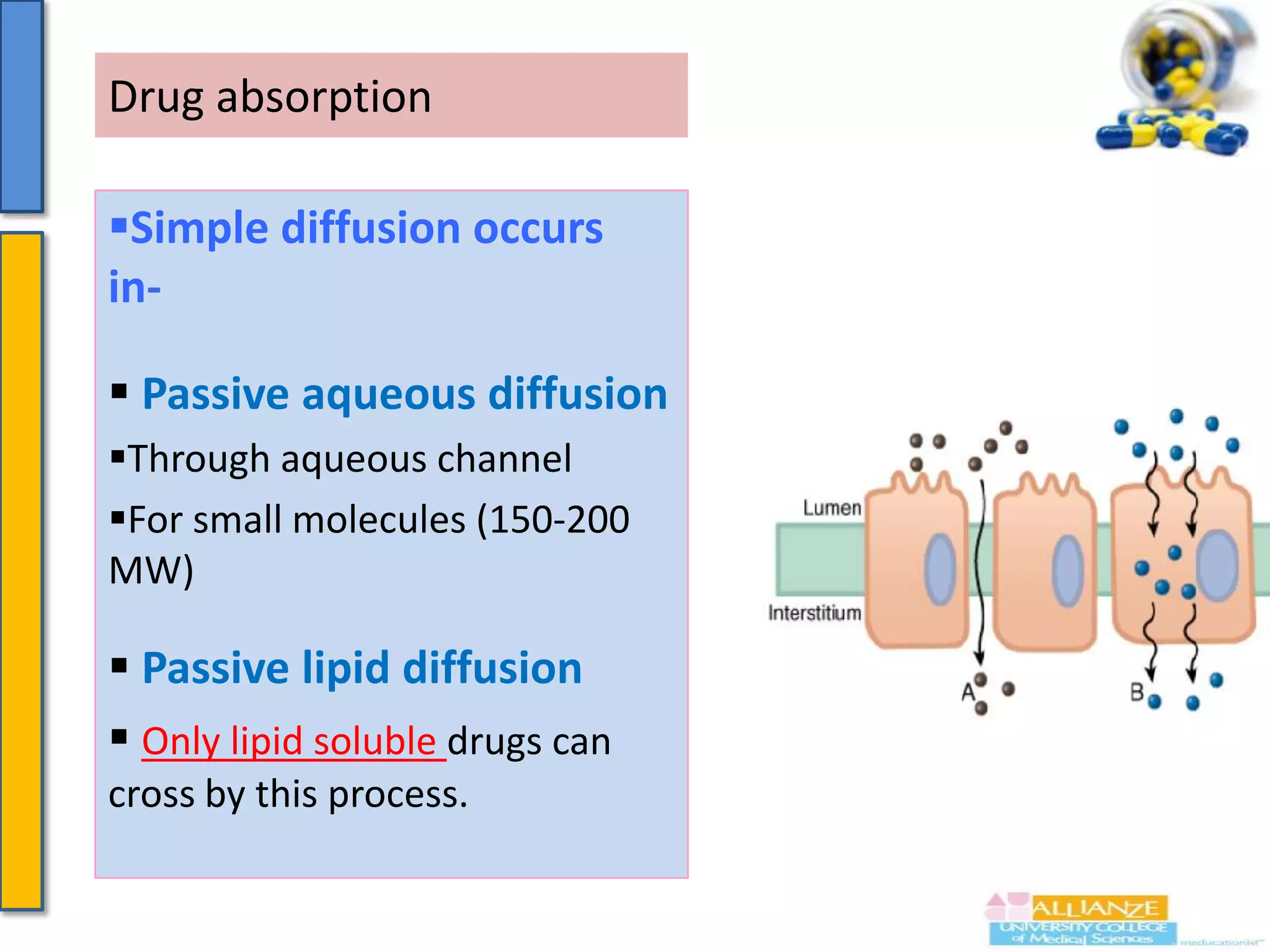 Drug absorption | PPTX