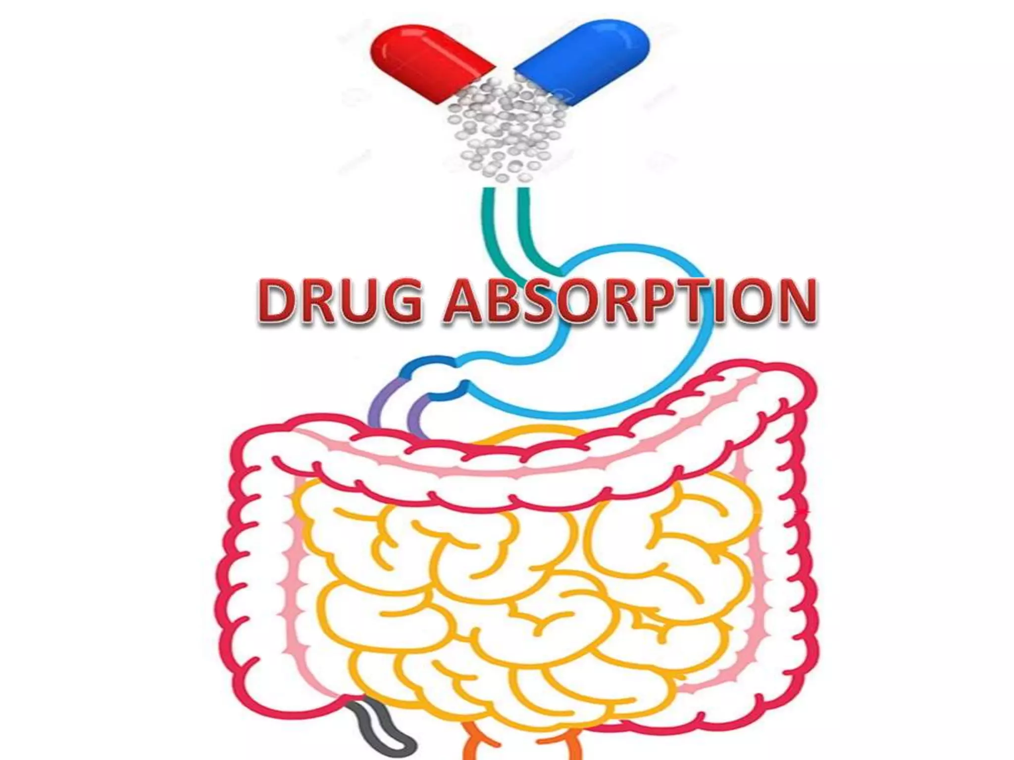 Drug absorption | PPTX