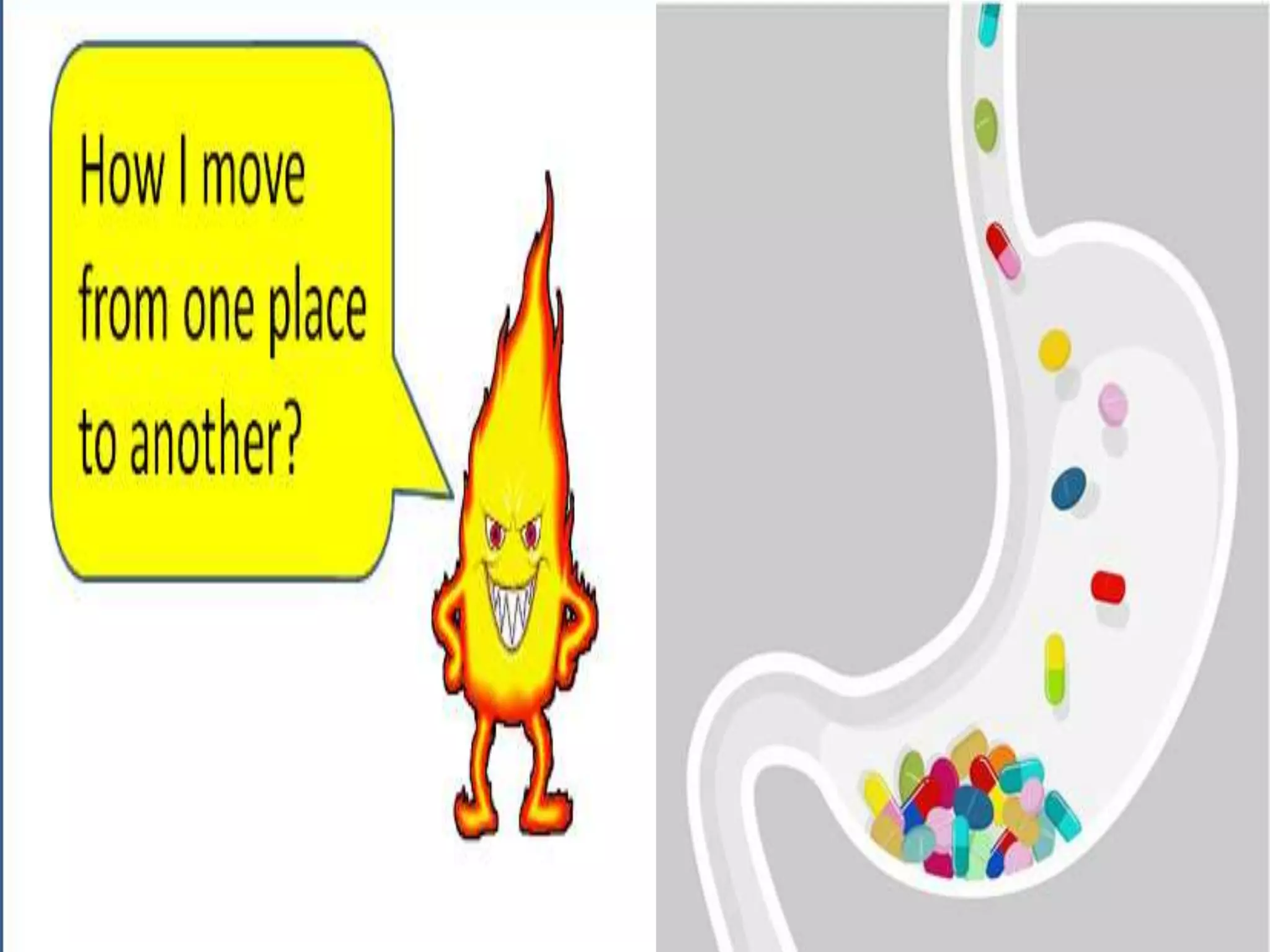 Drug absorption | PPTX