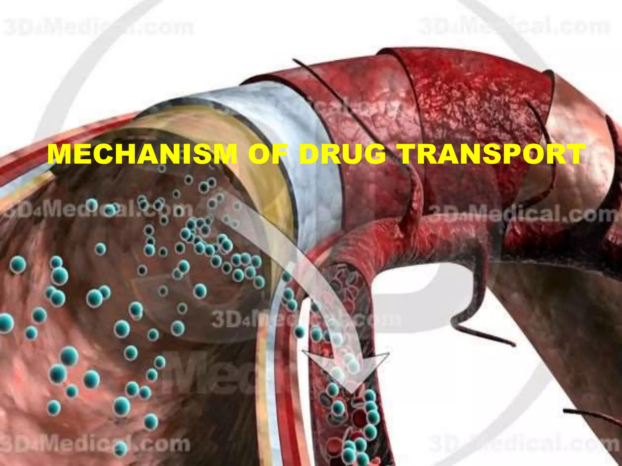 Drug absorption | PPTX